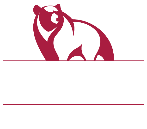Bear Advisors – Connecting People, Property & Capital